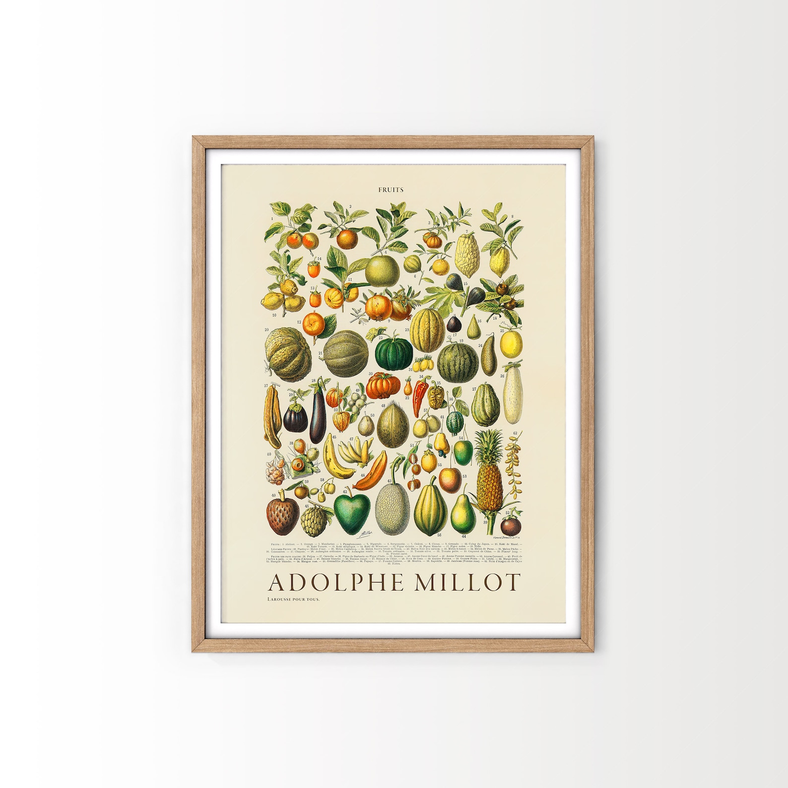 Fruits Wall Art Citrus Fruits Print Vegetables Chart | Etsy