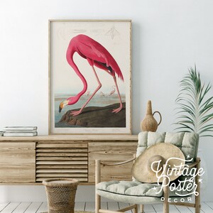 Flamingo Print, Antique Bird Painting, Pink Flamingo, Farmhouse Decor ...