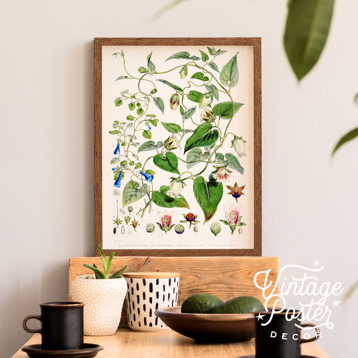 Vintage Plant Print Botanical Flower Vintage Flower Print | Etsy