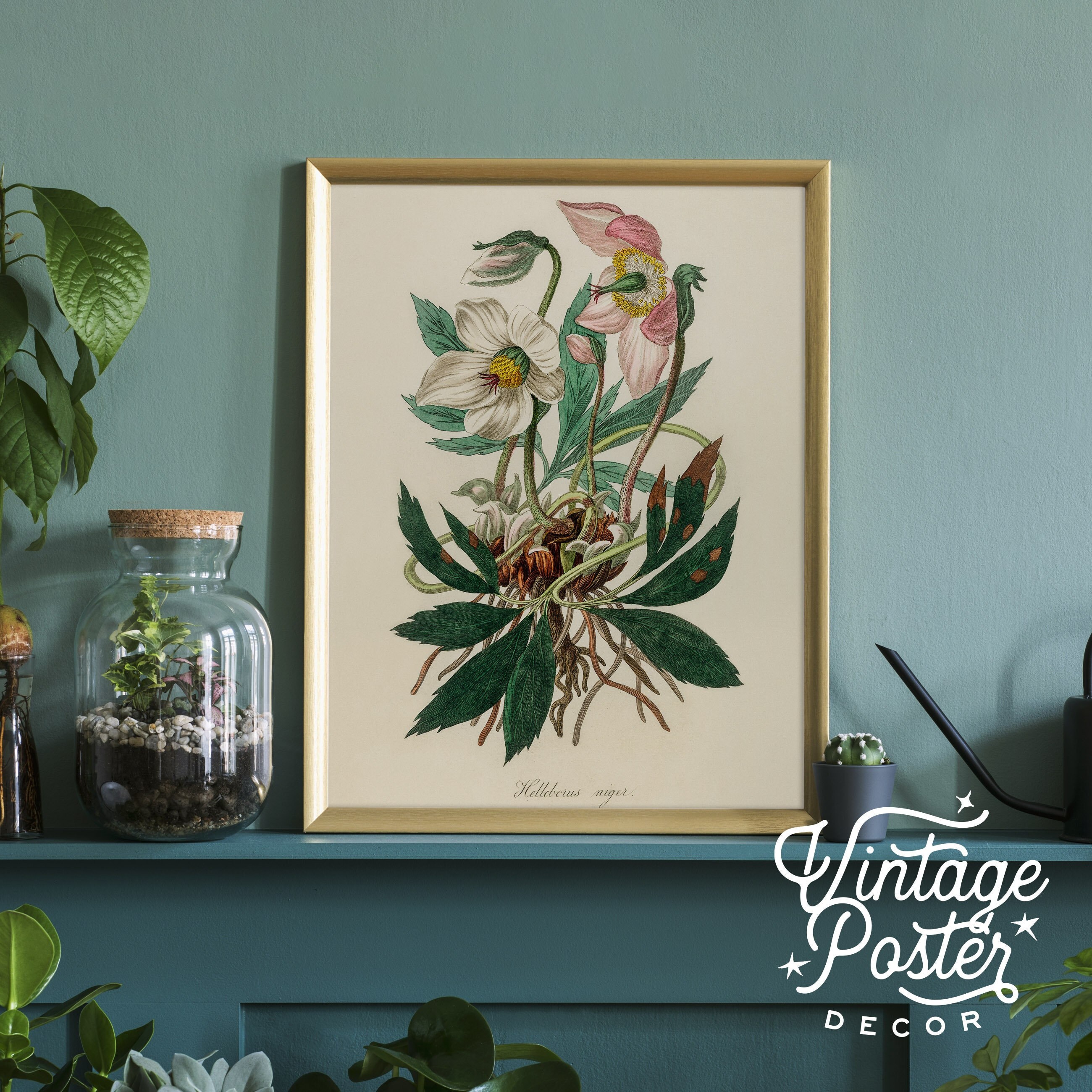 Flower Art Print, Vintage Floral, Botanical Flowers, Flower Decor ...