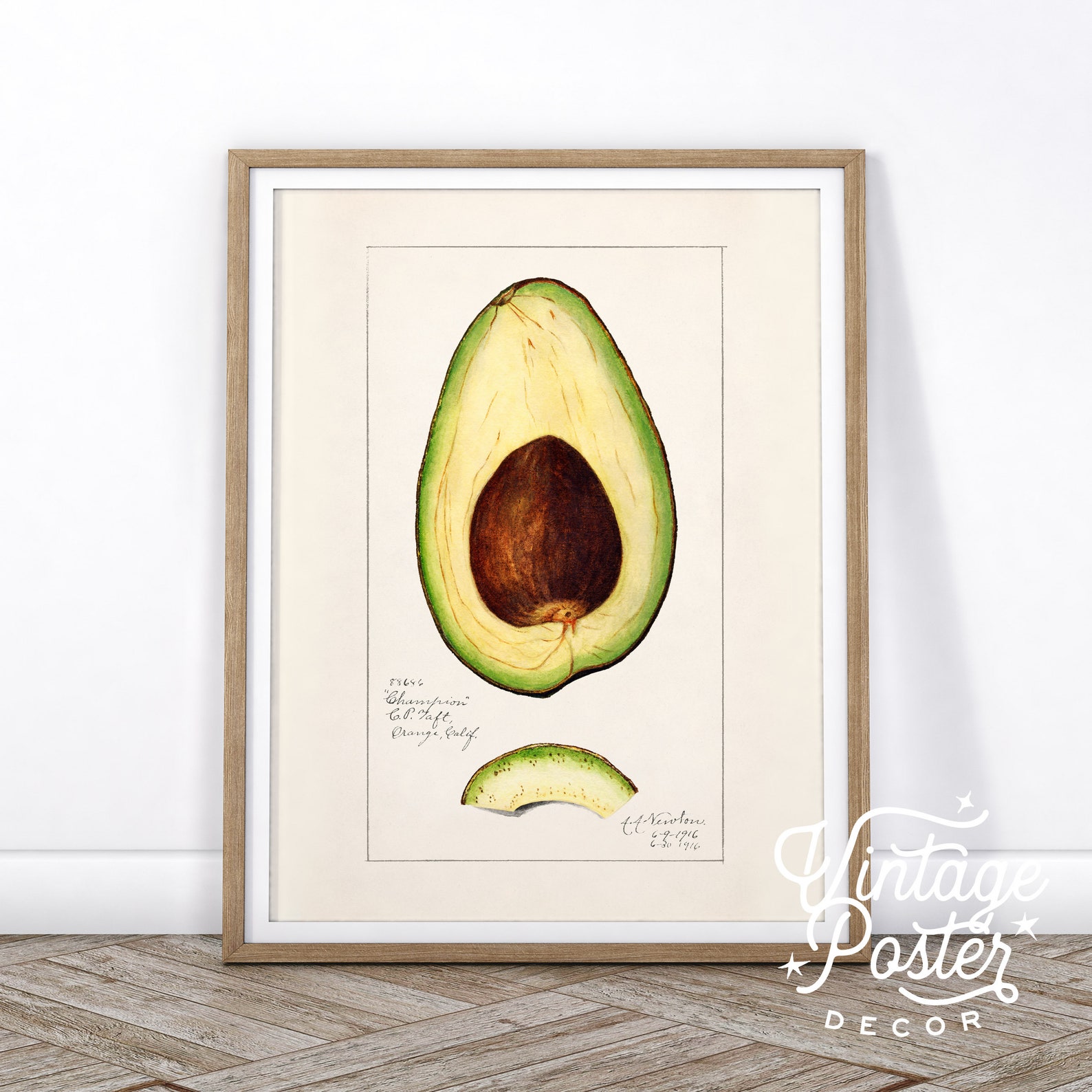 Avocado Print Vintage Avocado Poster Botanical Fruit - Etsy Canada