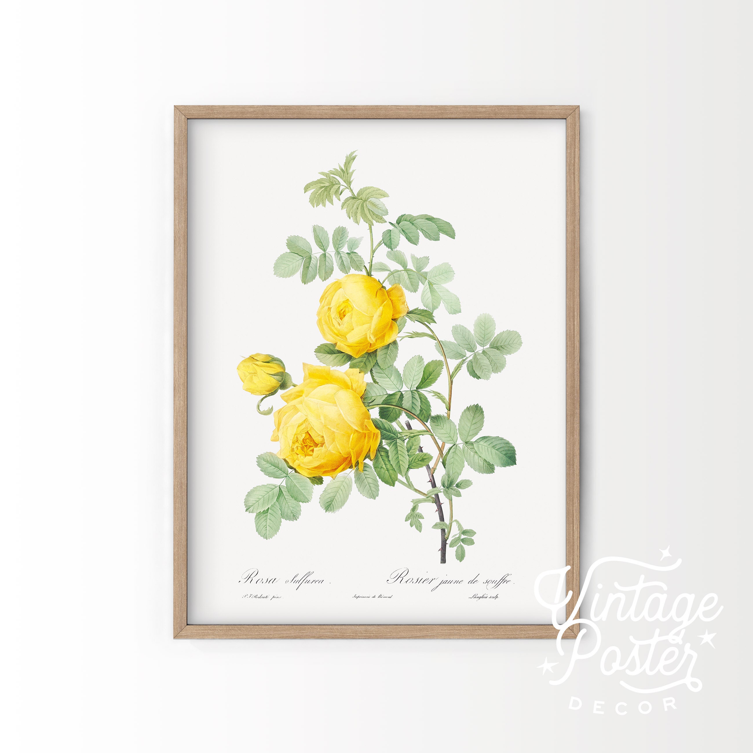 Vintage Yellow Rose Pattern