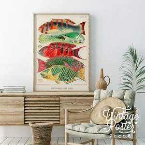 Beach Wall Decor, Vintage Fish Poster, Ocean Animal Print, Sea Life ...