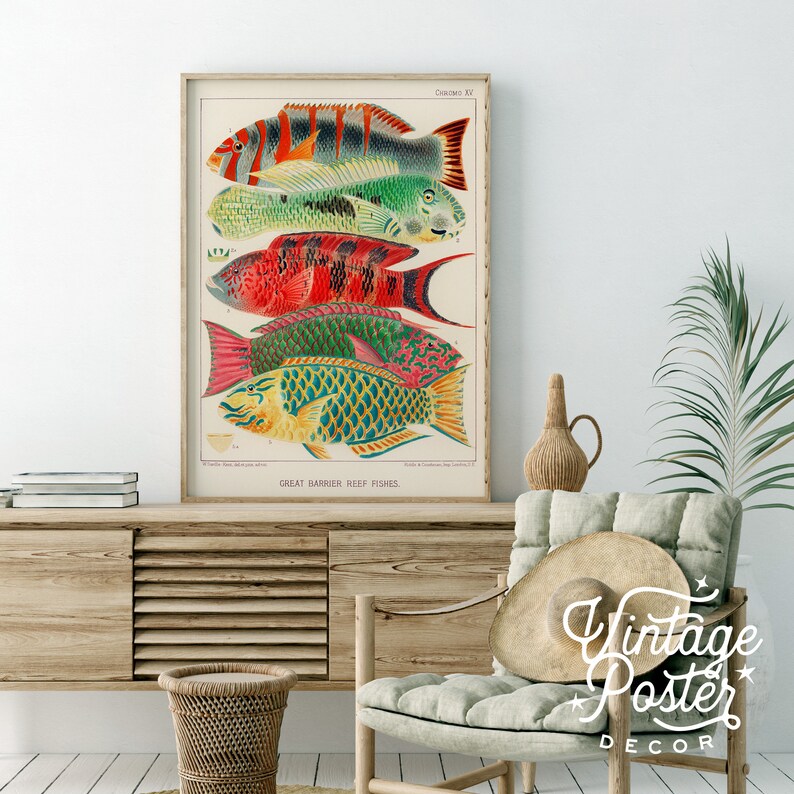 Beach Wall Decor, Vintage Fish Poster, Ocean Animal Print, Sea Life ...