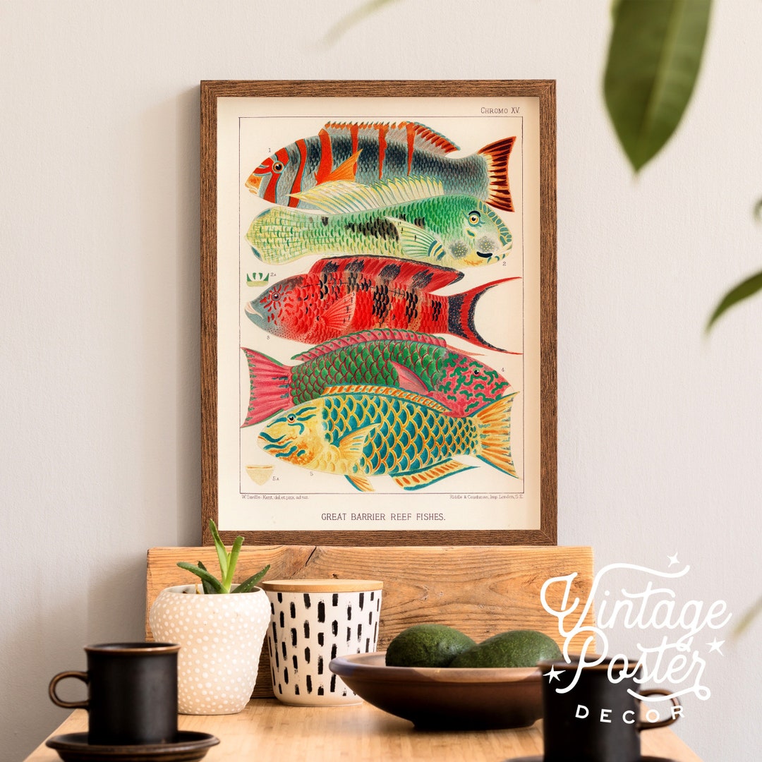 Beach Wall Decor, Vintage Fish Poster, Ocean Animal Print, Sea Life ...