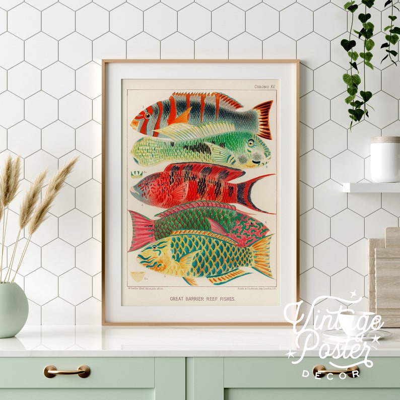 Beach Wall Decor Vintage Fish Poster Ocean Animal Print Sea - Etsy