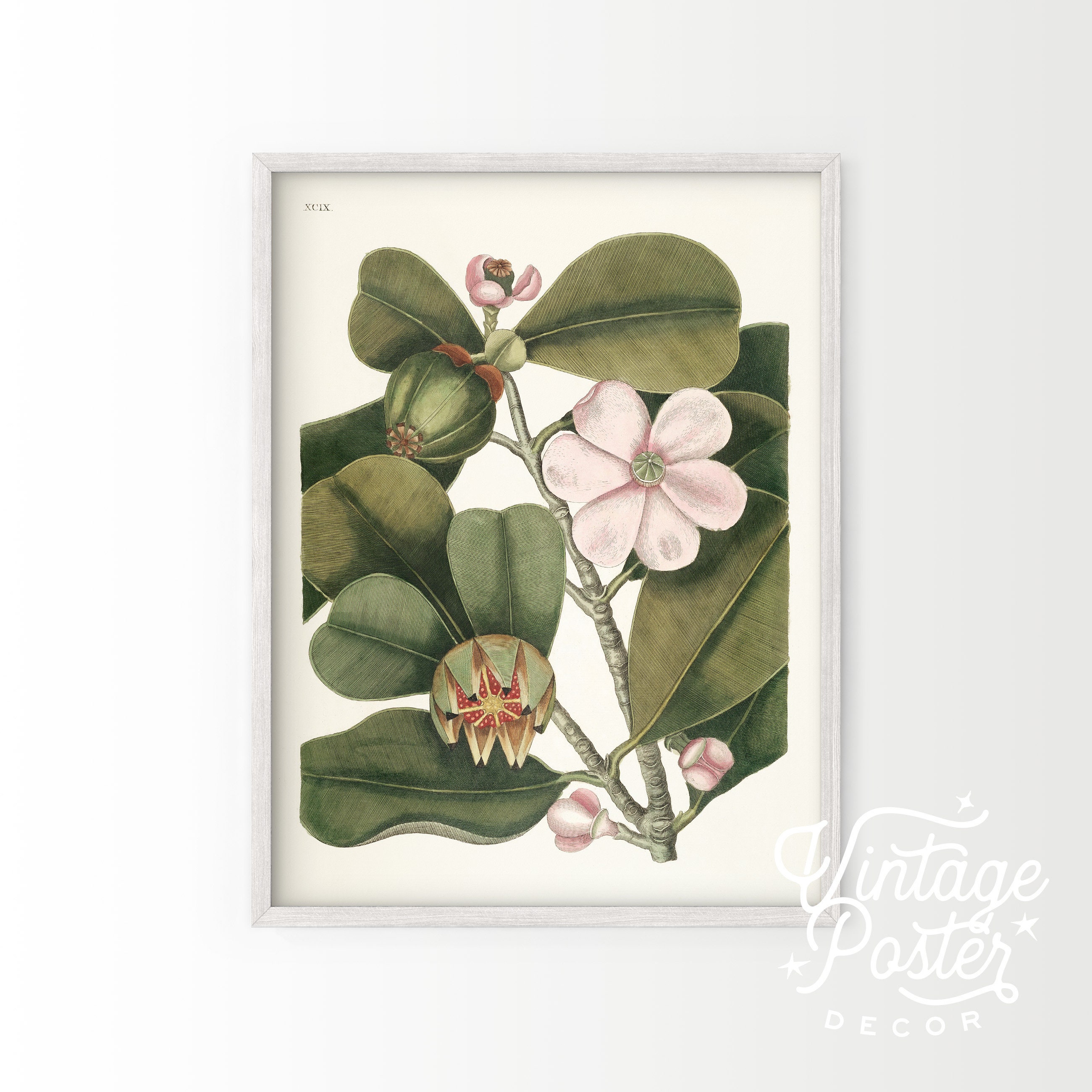 Flower Wall Art Leaf Plants Print Vintage Plant Green | Etsy