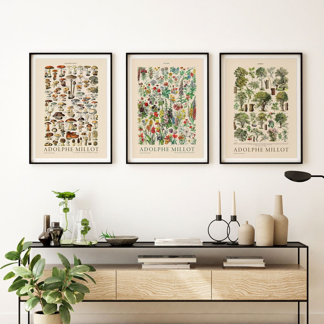 Set of 3 Botanical Poster, Adolphe Millot, Mushroom Print, Vintage ...