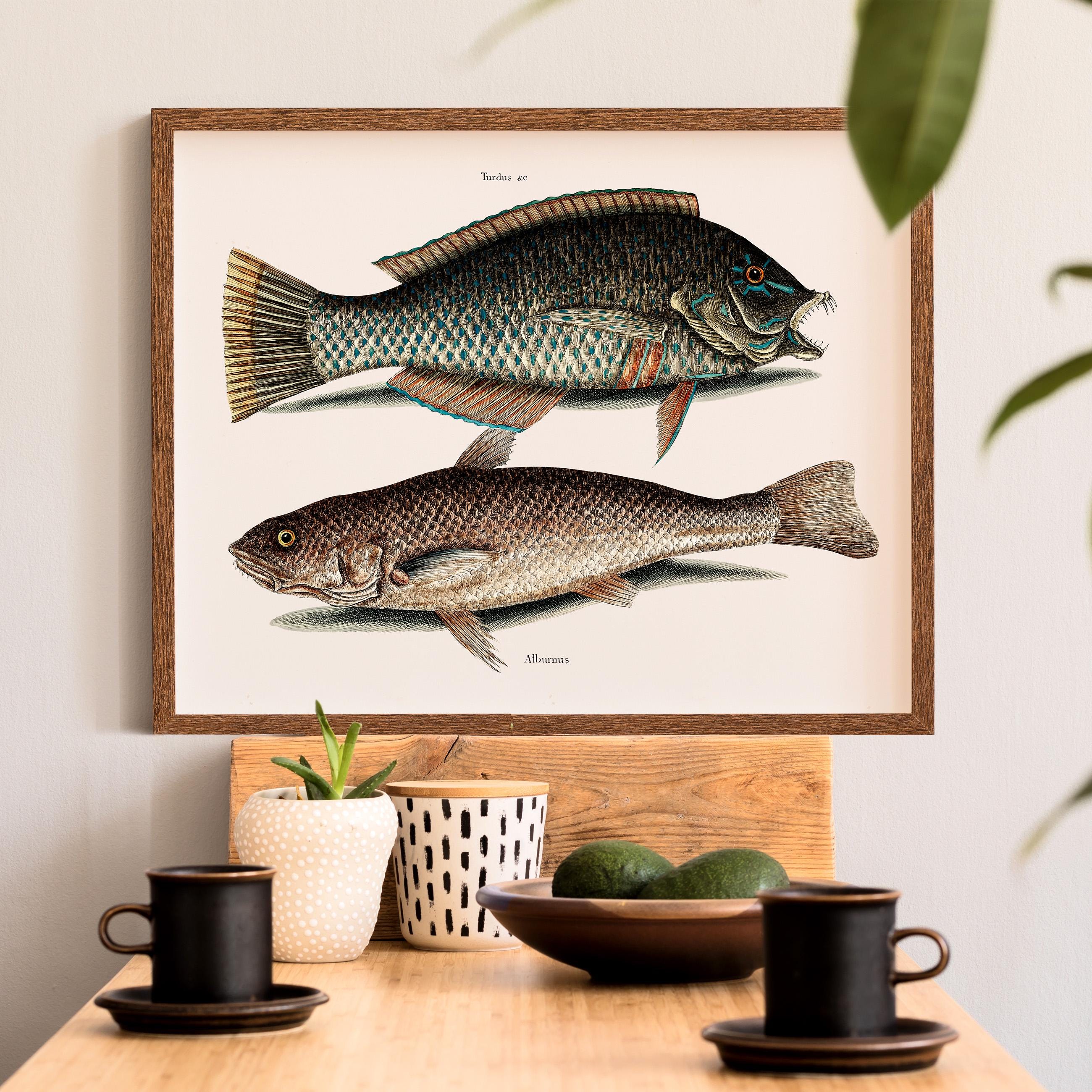 Antique Fish Print - Vintage Nautical Coastal Wall Art 1-9 - Etsy