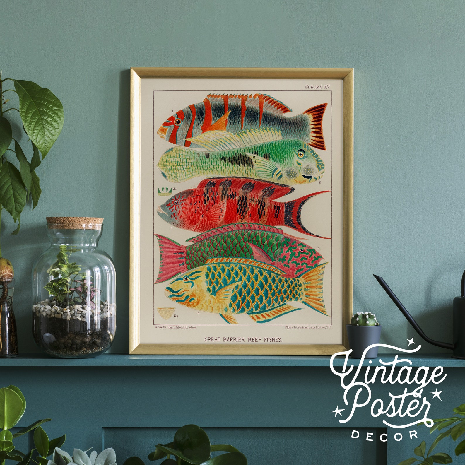 Beach Wall Decor Vintage Fish Poster Ocean Animal Print Sea - Etsy
