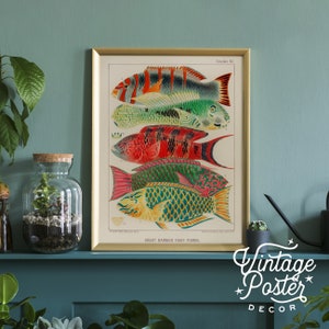 Beach Wall Decor, Vintage Fish Poster, Ocean Animal Print, Sea Life ...