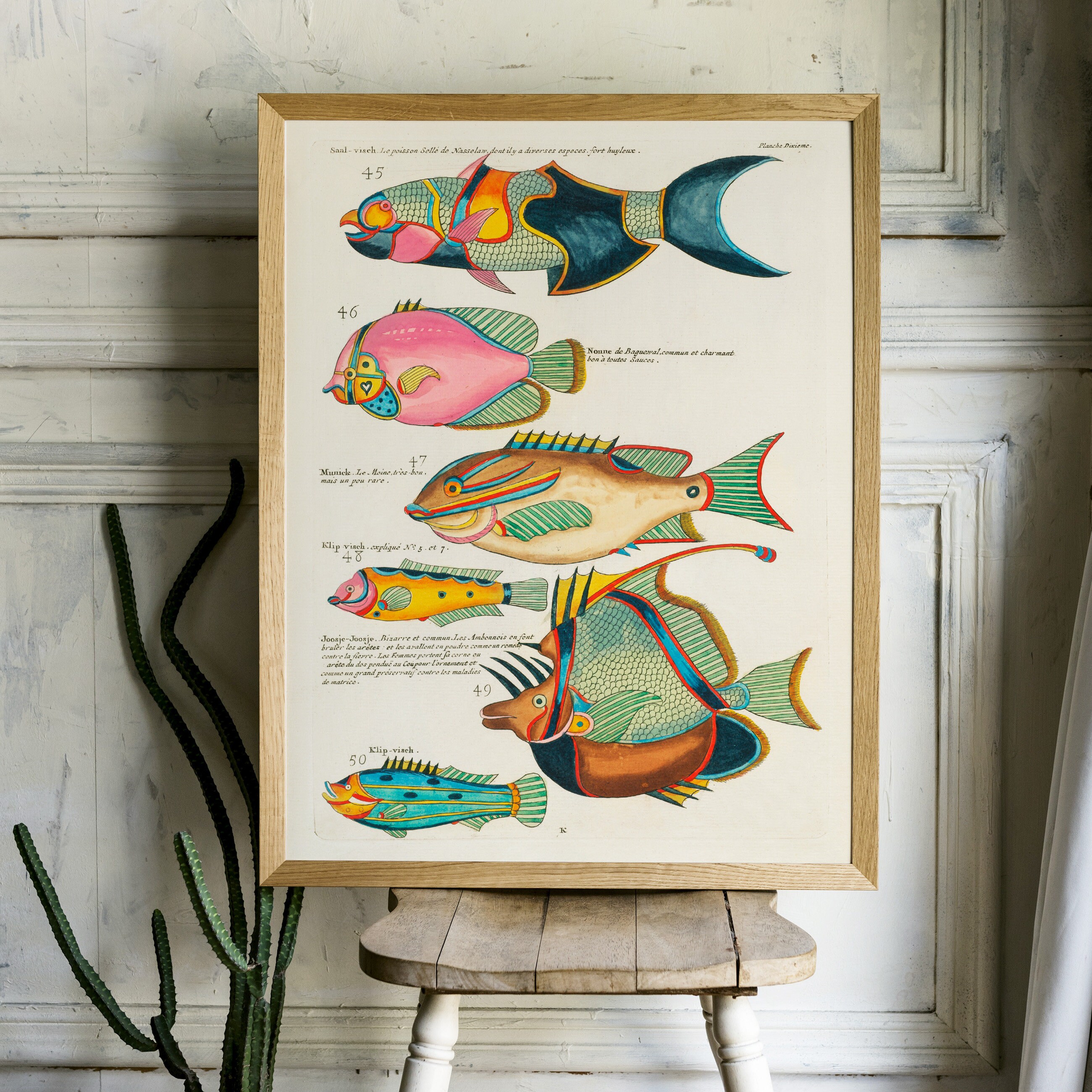 Antique Tropical Fish Art Print | Colorful Marine Life Illustration ...