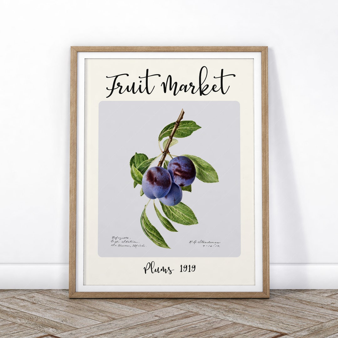 Plum Botanical Print "fruit Market" Vintage Poster, Farmhouse Kitchen ...