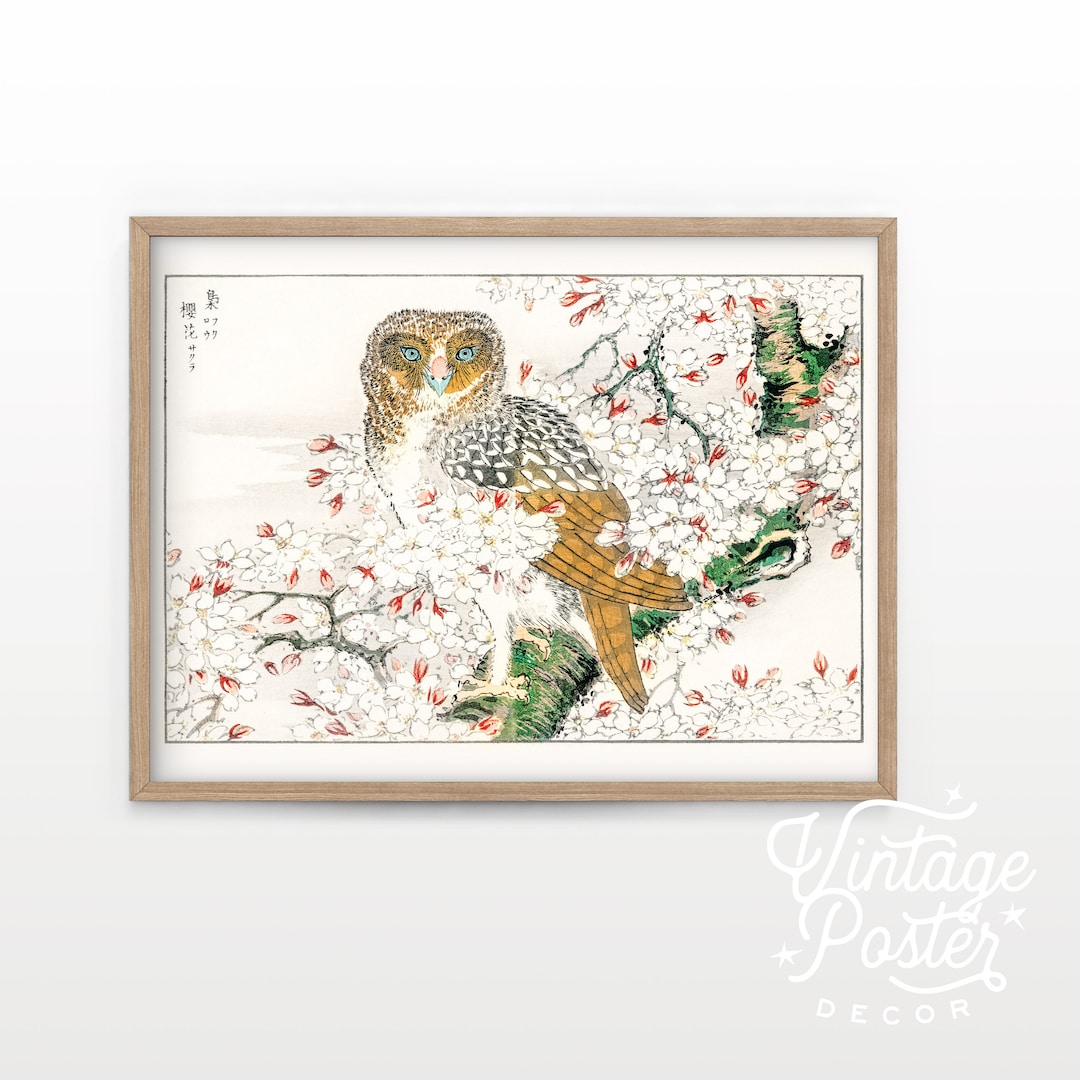 Owl Art Print Vintage Bird Japanese Wall Art Vintage Owl - Etsy