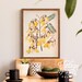 Botanical Art Print, Yellow Flower Drawing, Antique Floral Plant - Etsy