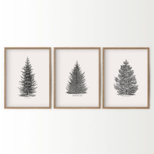 Tofino Beach Landscape TRIO Printable Wall Art Digital Print - Etsy Canada