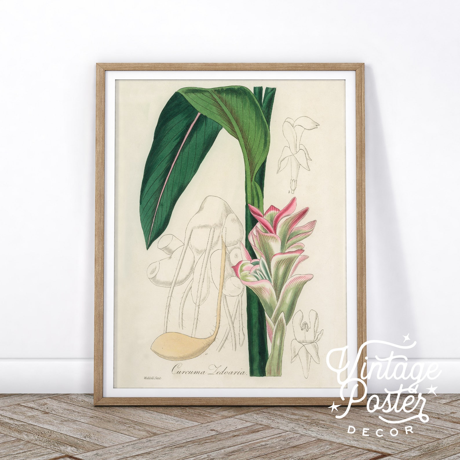 Vintage Botanical Print, Rustic Farmhouse Floral Wall Art - Etsy
