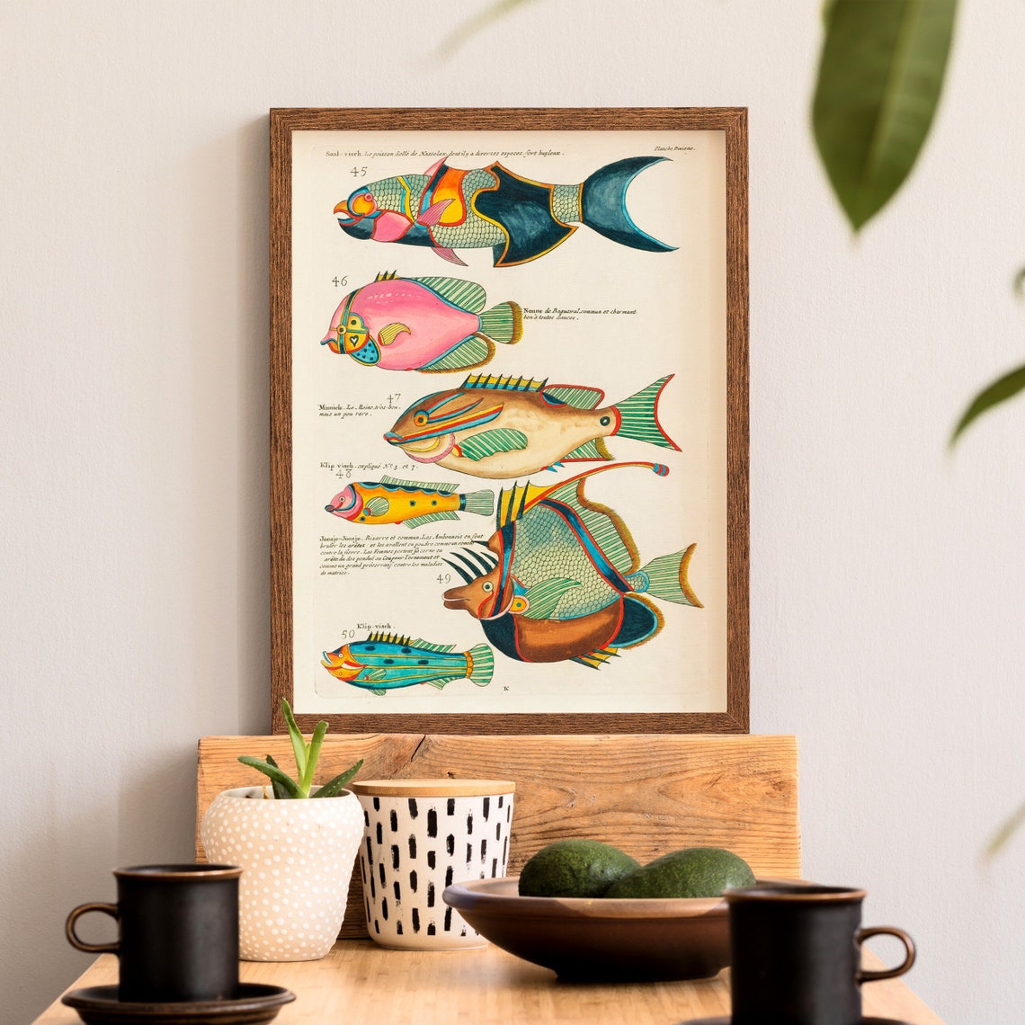 Antique Tropical Fish Art Print | Colorful Marine Life Illustration ...