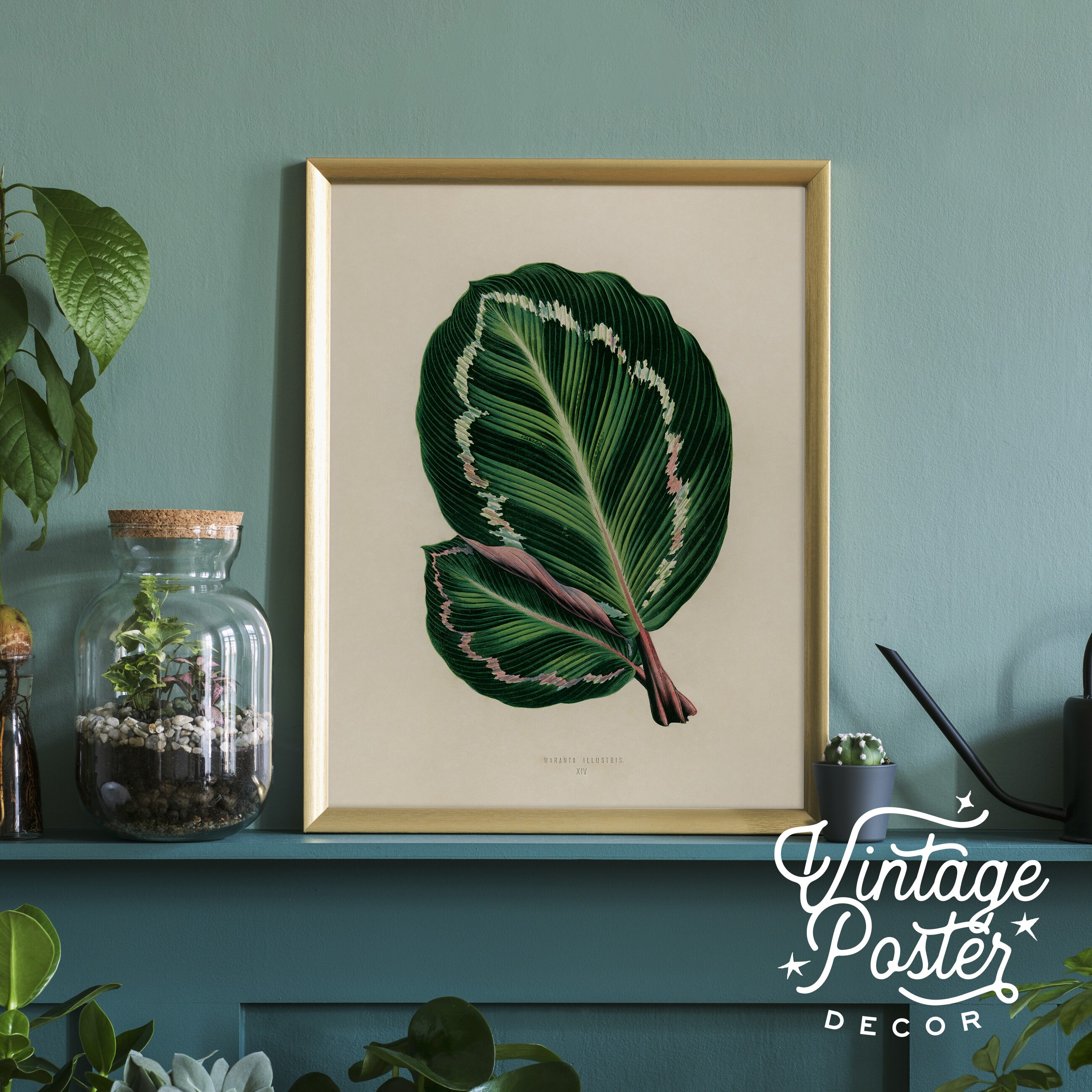 Plant Art Print Botanical Print Leaf Tropical Poster Plant | Etsy