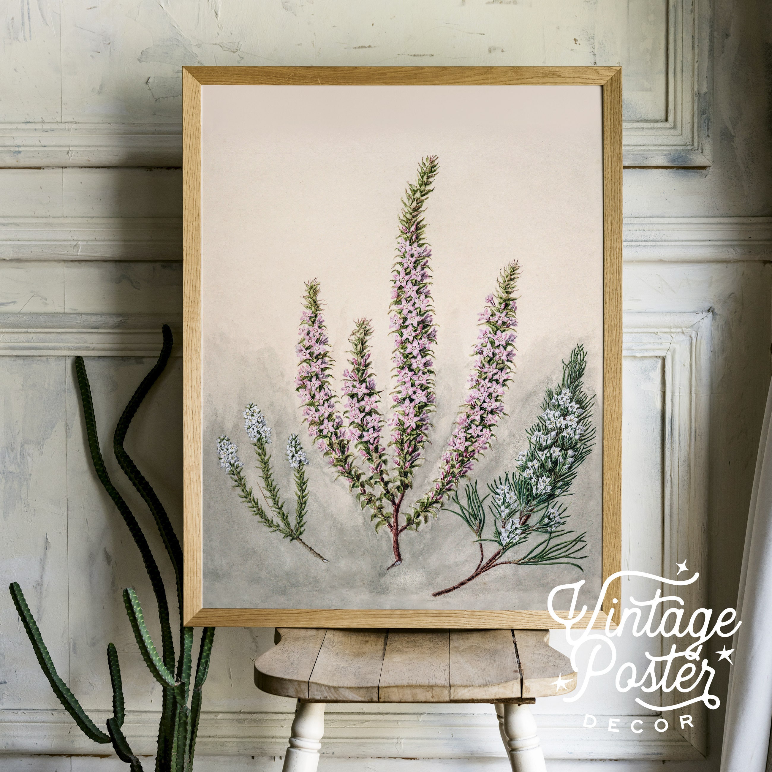 Lavender Botanical Print Vintage Flower Bohemian Poster | Etsy