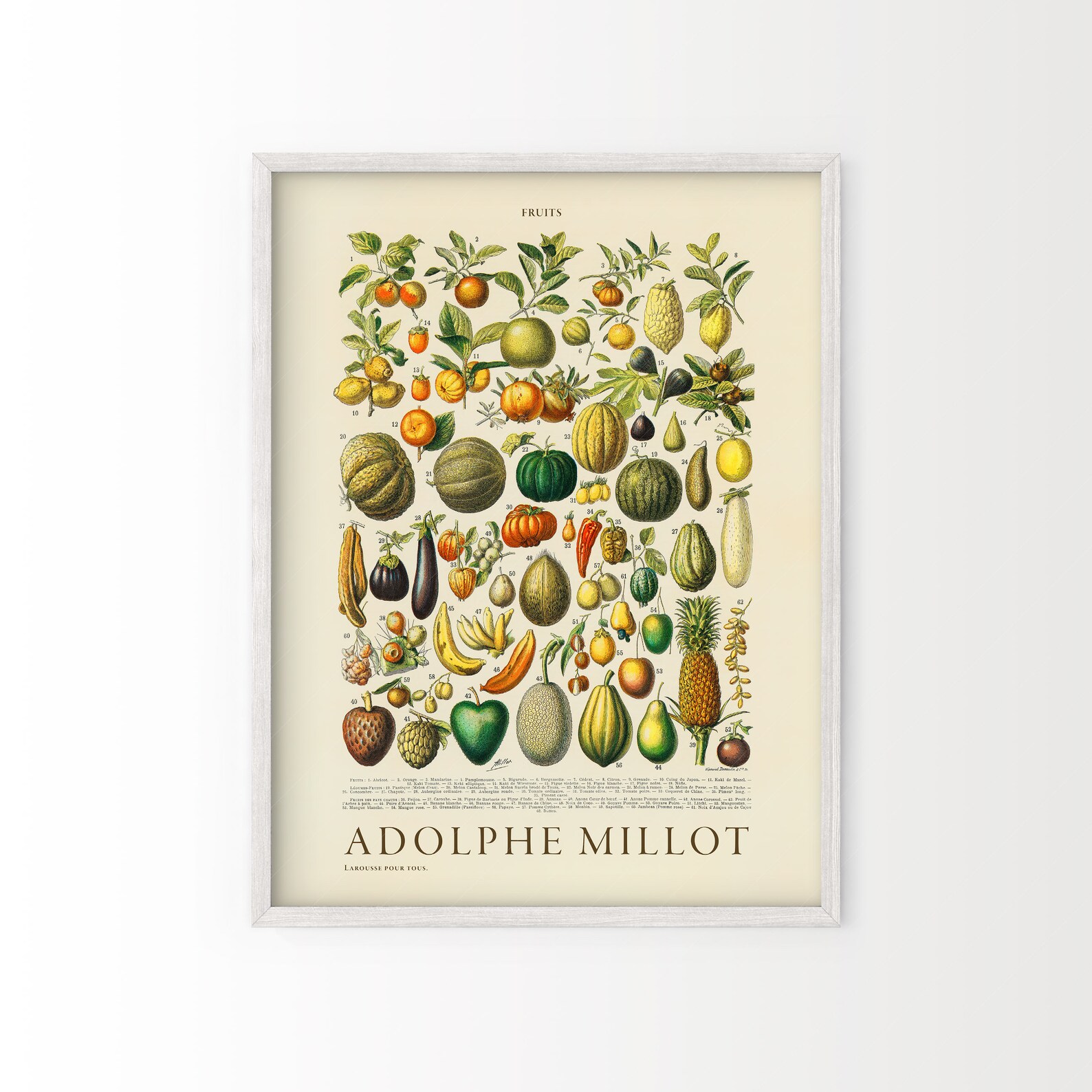 Fruits Wall Art Citrus Fruits Print Vegetables Chart | Etsy