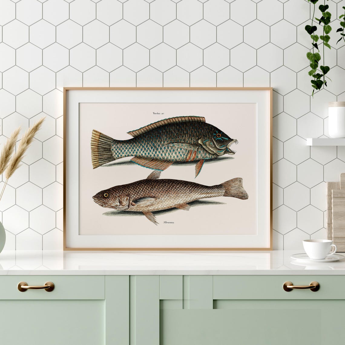 Antique Fish Print - Vintage Nautical Coastal Wall Art 1-9 - Etsy