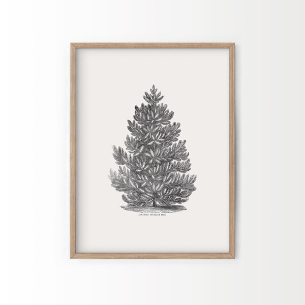 Canadian Vintage Posters - Etsy Canada