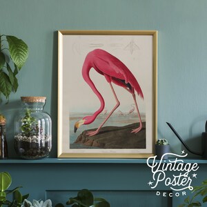 Flamingo Print, Antique Bird Painting, Pink Flamingo, Farmhouse Decor ...