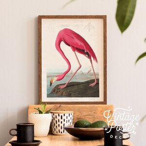 Flamingo Print, Antique Bird Painting, Pink Flamingo, Farmhouse Decor ...