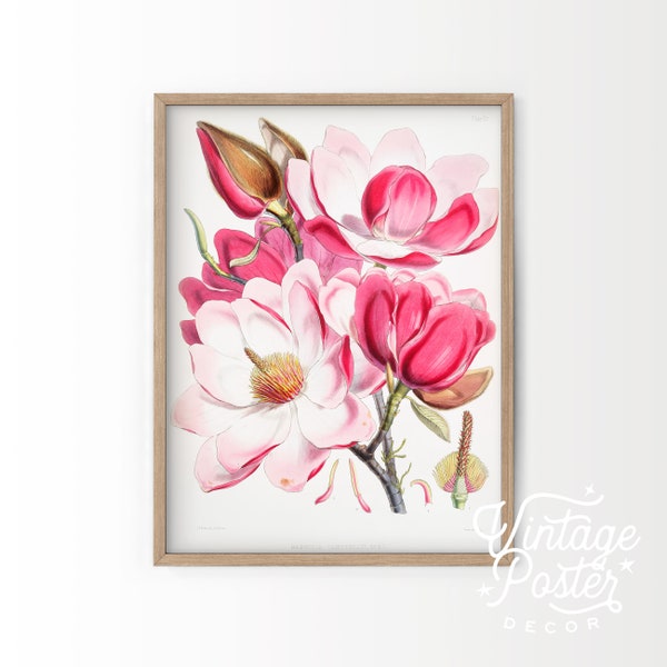 Magnolia Print - Etsy