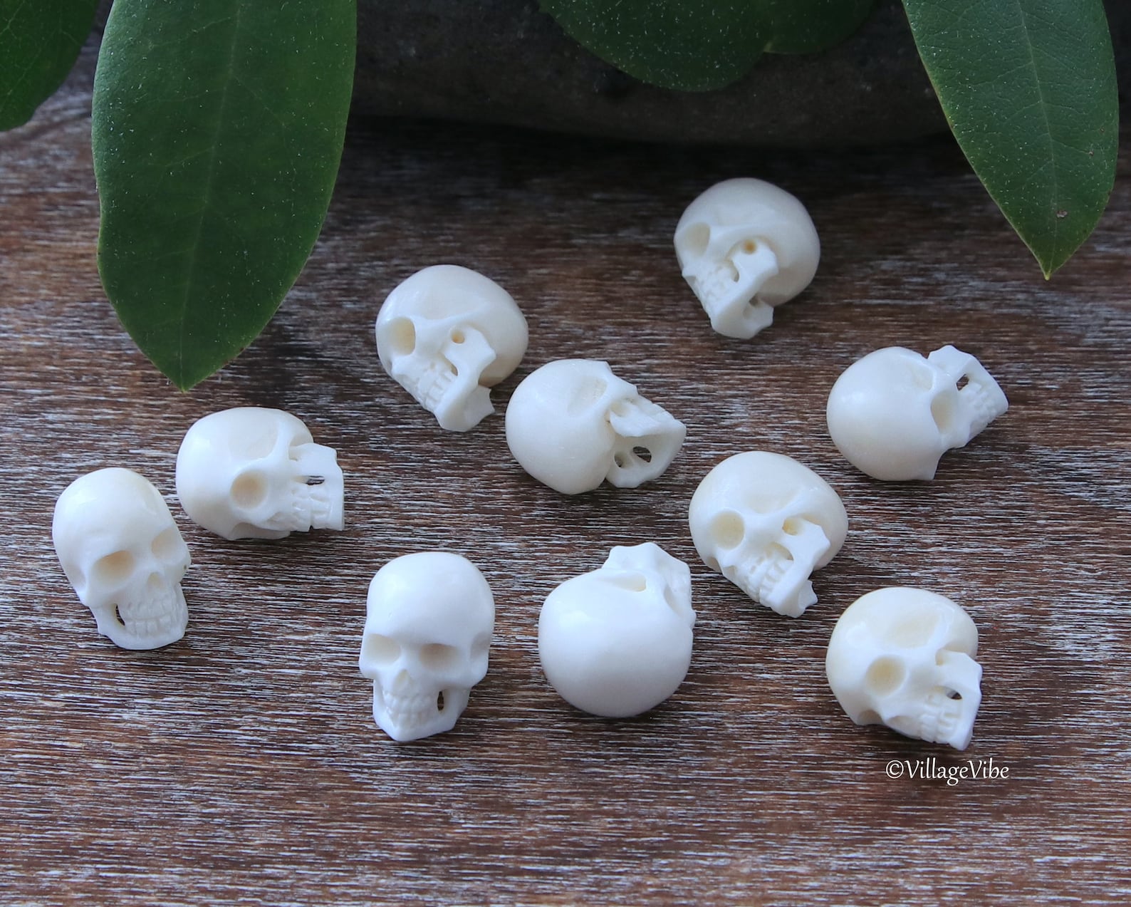 Hand Carved Bone Set of 5 Realistic Skull Carving - Etsy
