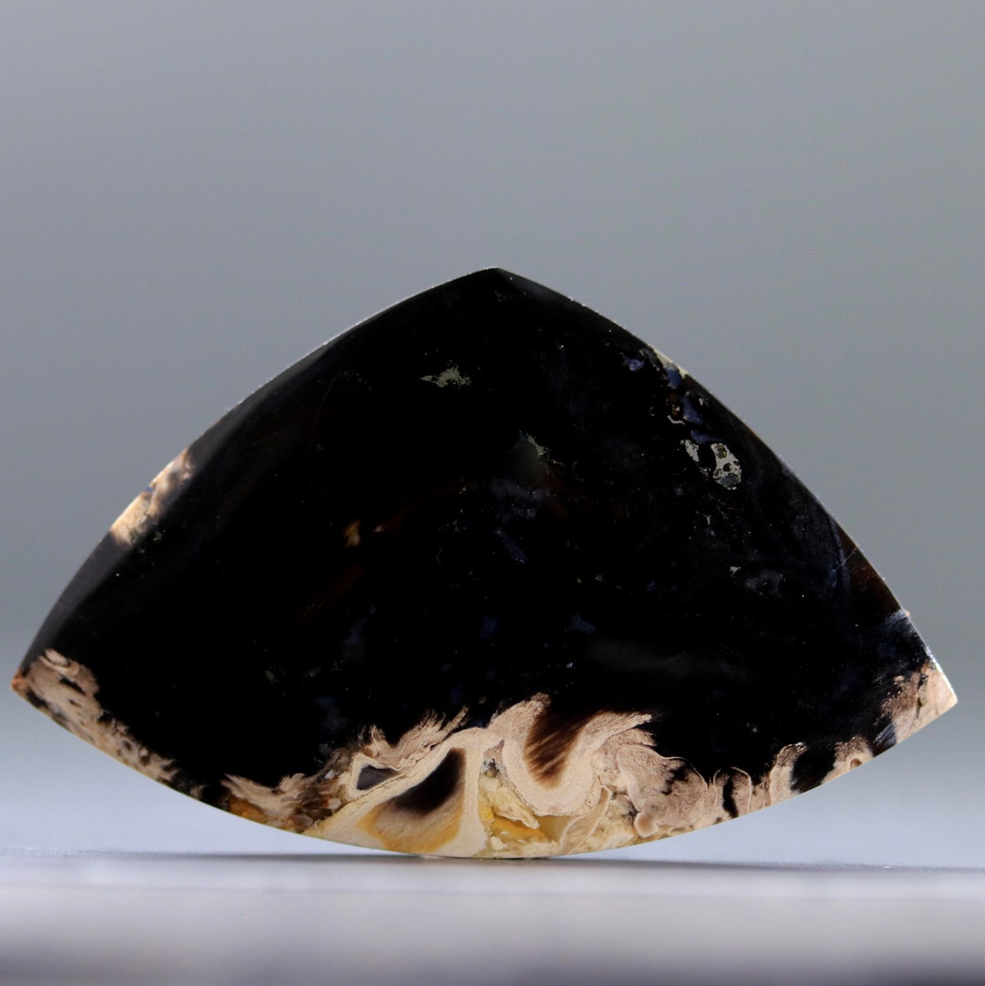 Root Fossil Cabochon, Fossilized Palm Root Flame Pattern Earth Tone ...