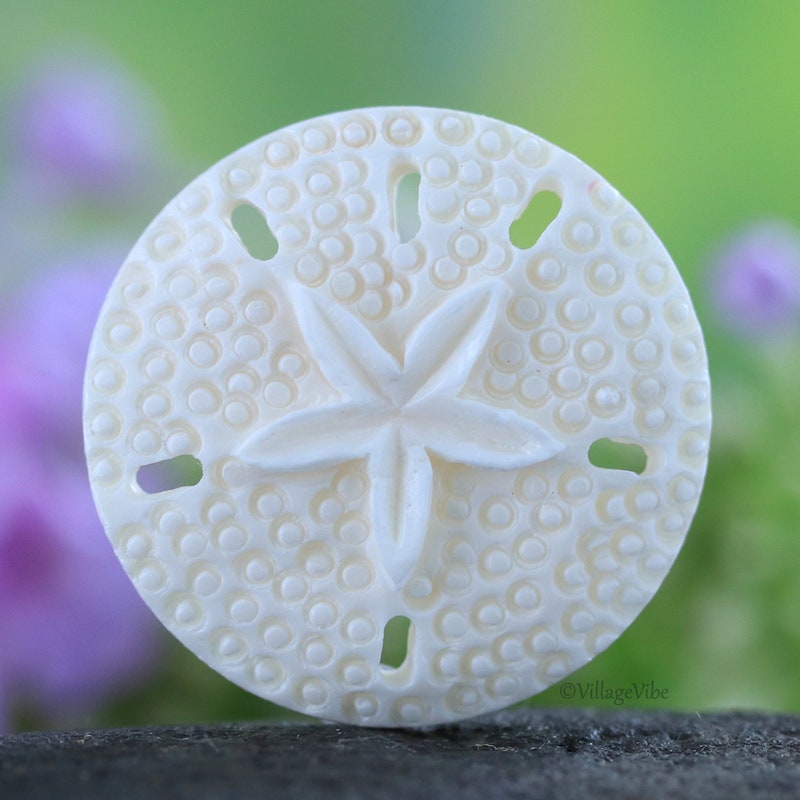 Bulk Sand Dollars - Etsy