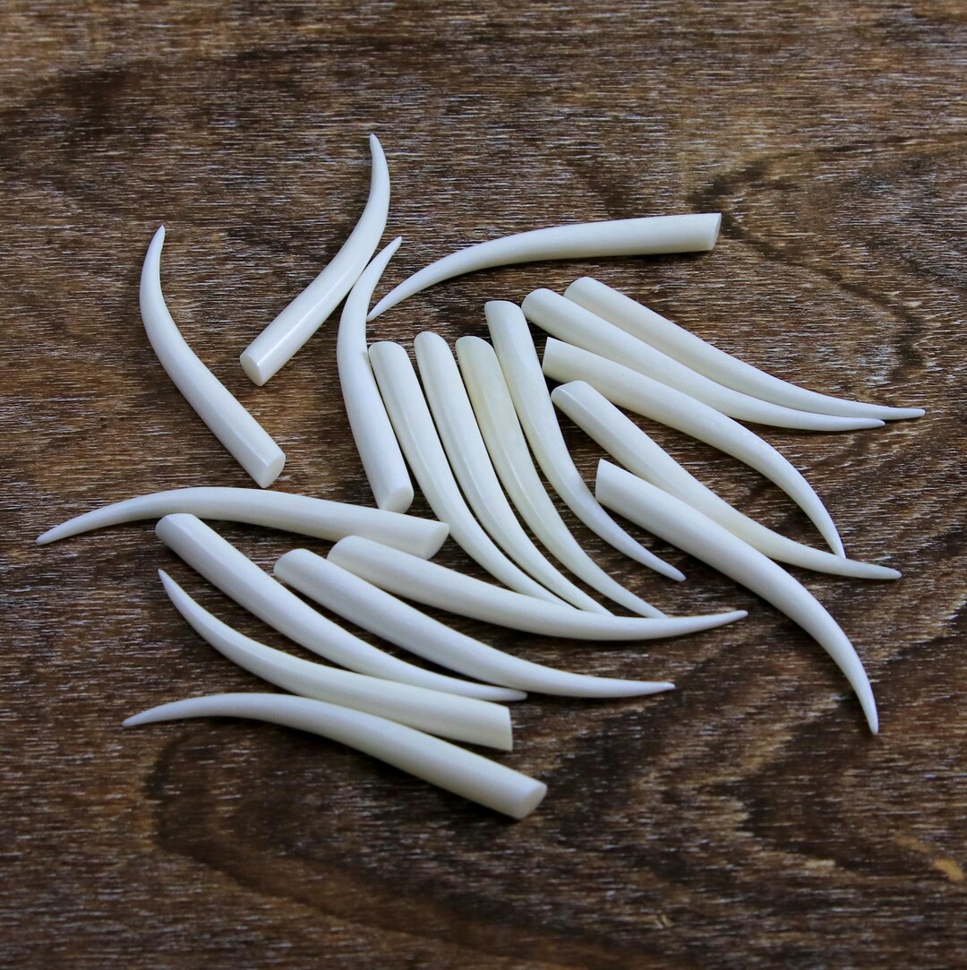 Hand Carved Buffalo Bone Cabochon – Tusk Design for DIY Earrings and ...