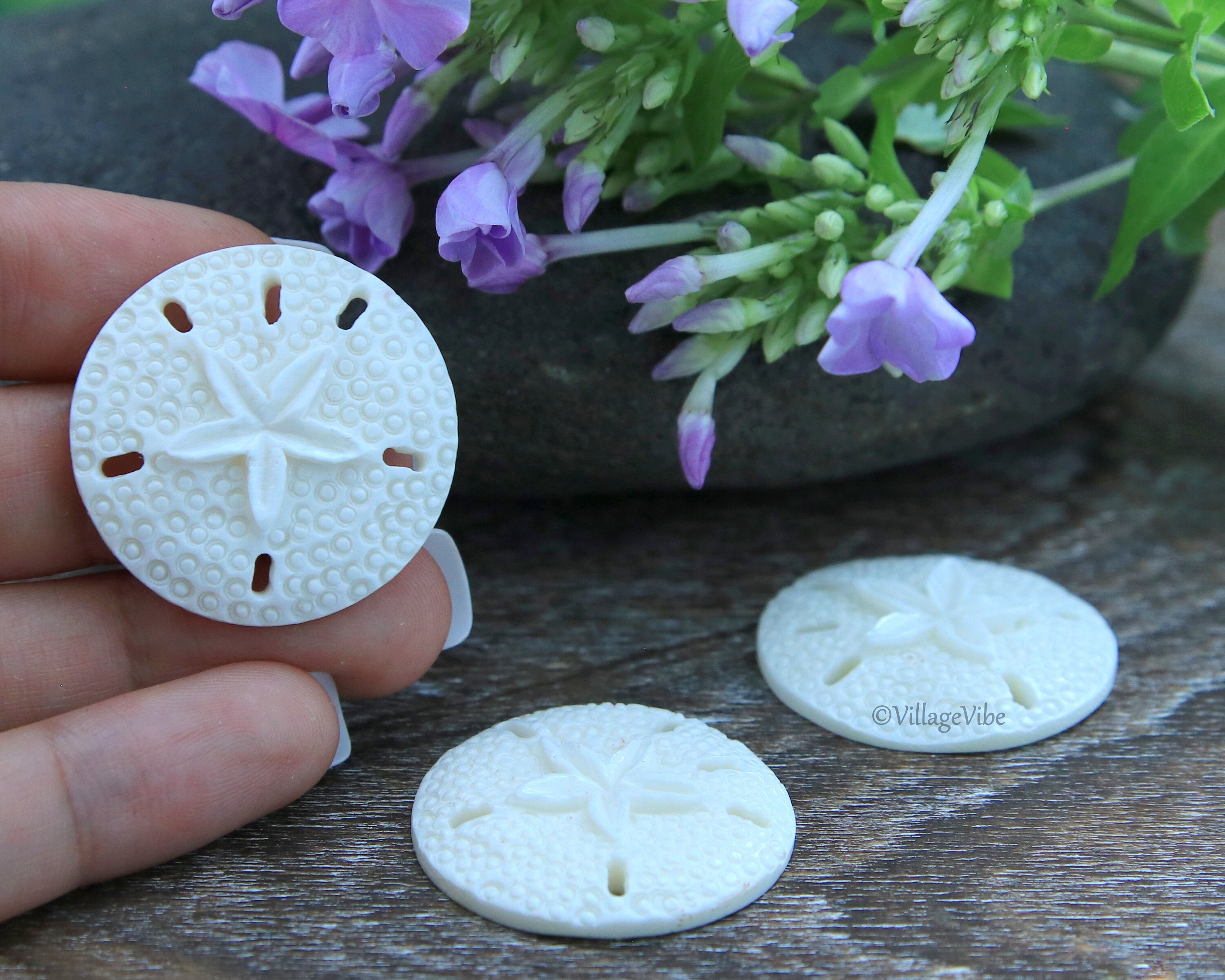 Sand Dollar Pendant Carved Bone Beads | Etsy