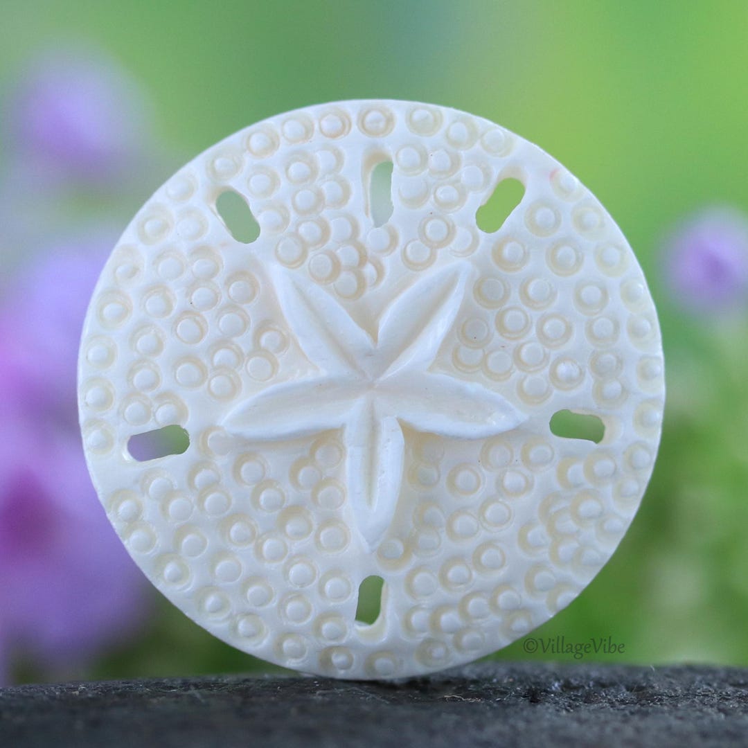 Sand Dollar Pendant Carved Bone Beads - Etsy
