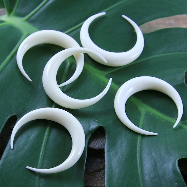 White Bone Horn - Etsy