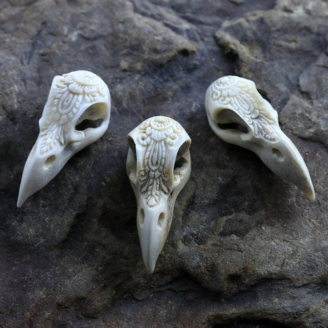 Hand Carved Deer Antler Cabochon Raven Skull Carvings Rustic and ...