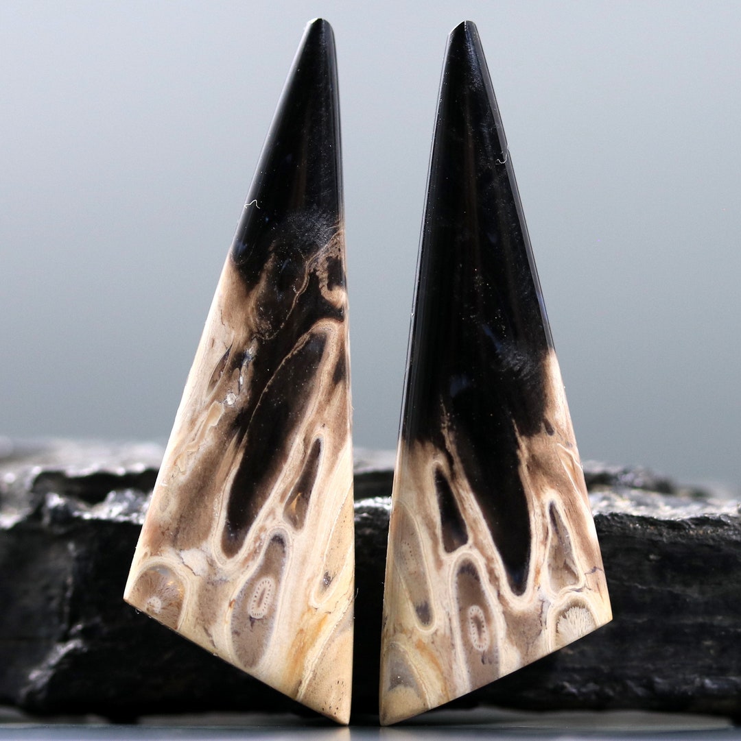 Palm Tree Root Fossil Cabochon Pair, Earth Tone High End Jewelry Supply ...