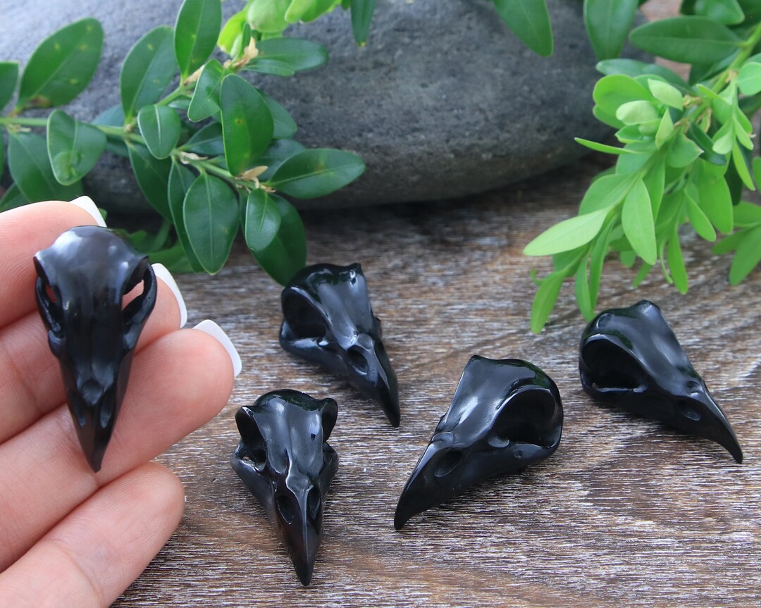 Hand Carved Black Raven Skull Bull Horn Charm: 30mm Cabochon - Etsy