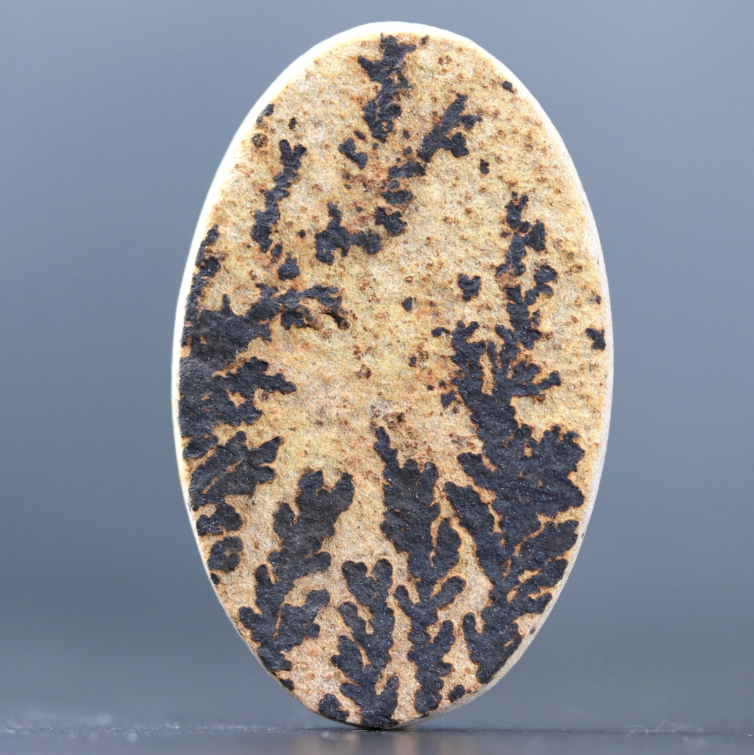 Dendritic Limestone Cabochon Fern Pattern Natural Stone, Raw Unpolished ...