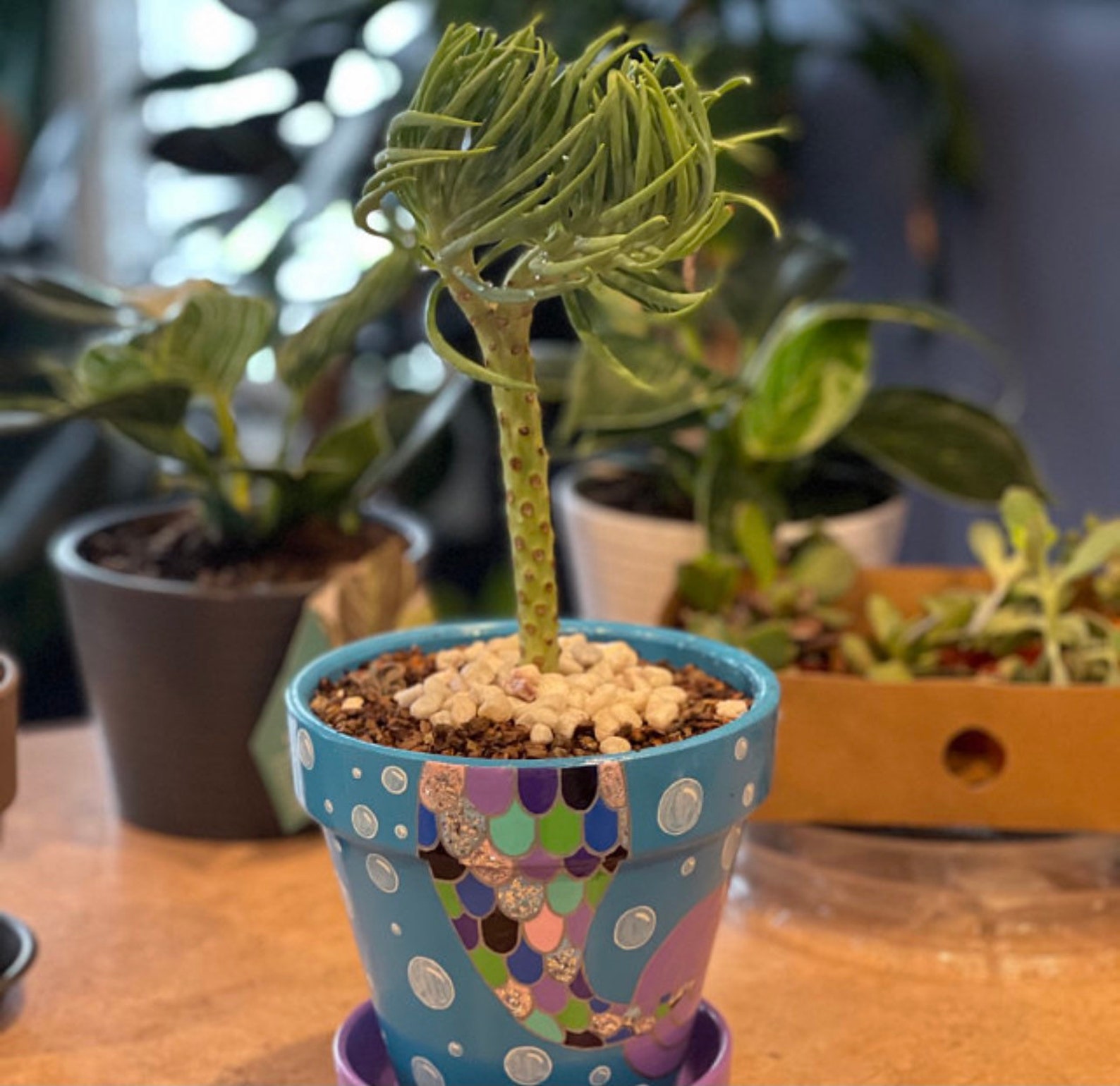 Mermaid Pot Custom Order - Etsy