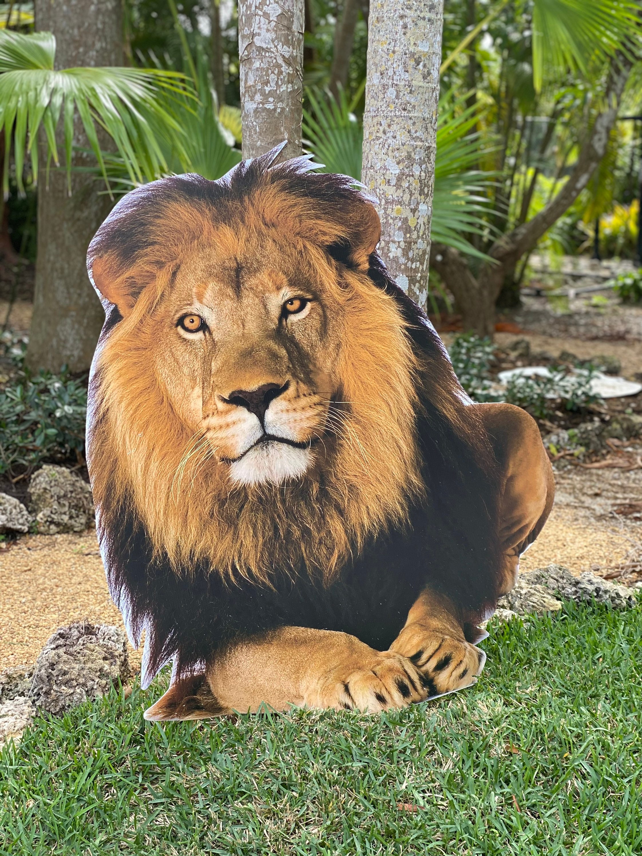 Safari Party Lion | Etsy