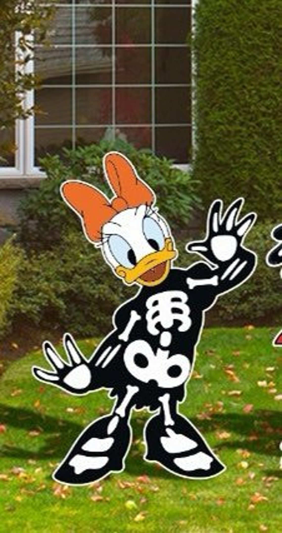 Disney Skeleton Pluto Skeleton Donald Skeleton Goofy - Etsy
