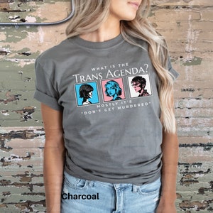 Trans Rights T-shirt, Trans Agenda Tshirt, Protect Trans Kids Tee ...