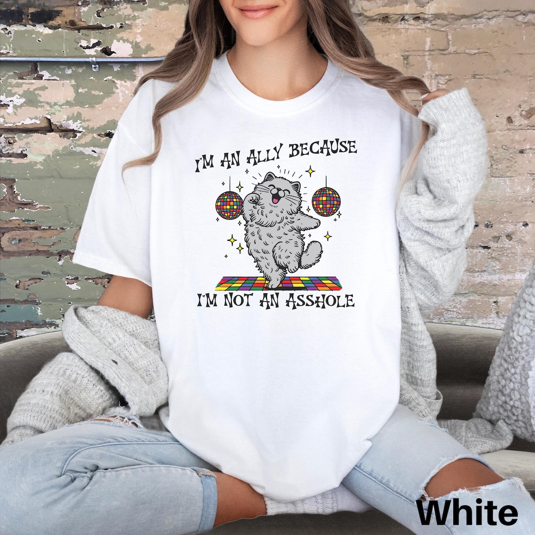 LGBT Ally Shirt, Ally Pride Shirts, Safe Space Shirt, Rainbow Pride Tee ...