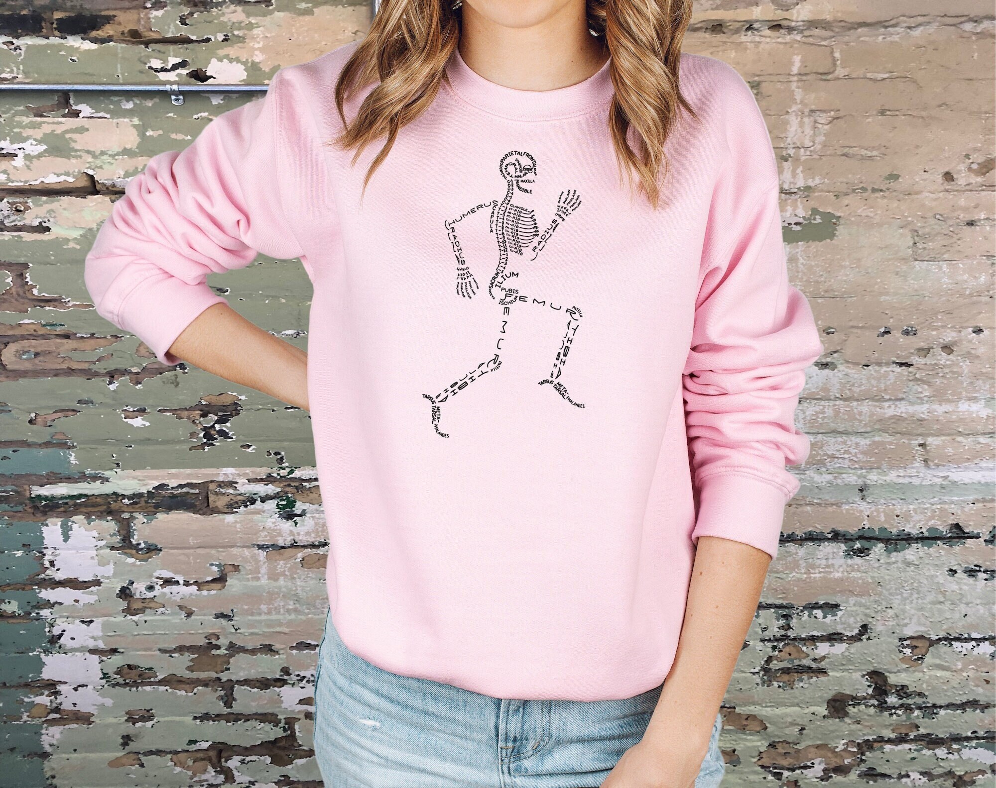 Skeleton Sweatshirt, Anatomy Skeleton, Skeleton Halloween Sweatshirt ...