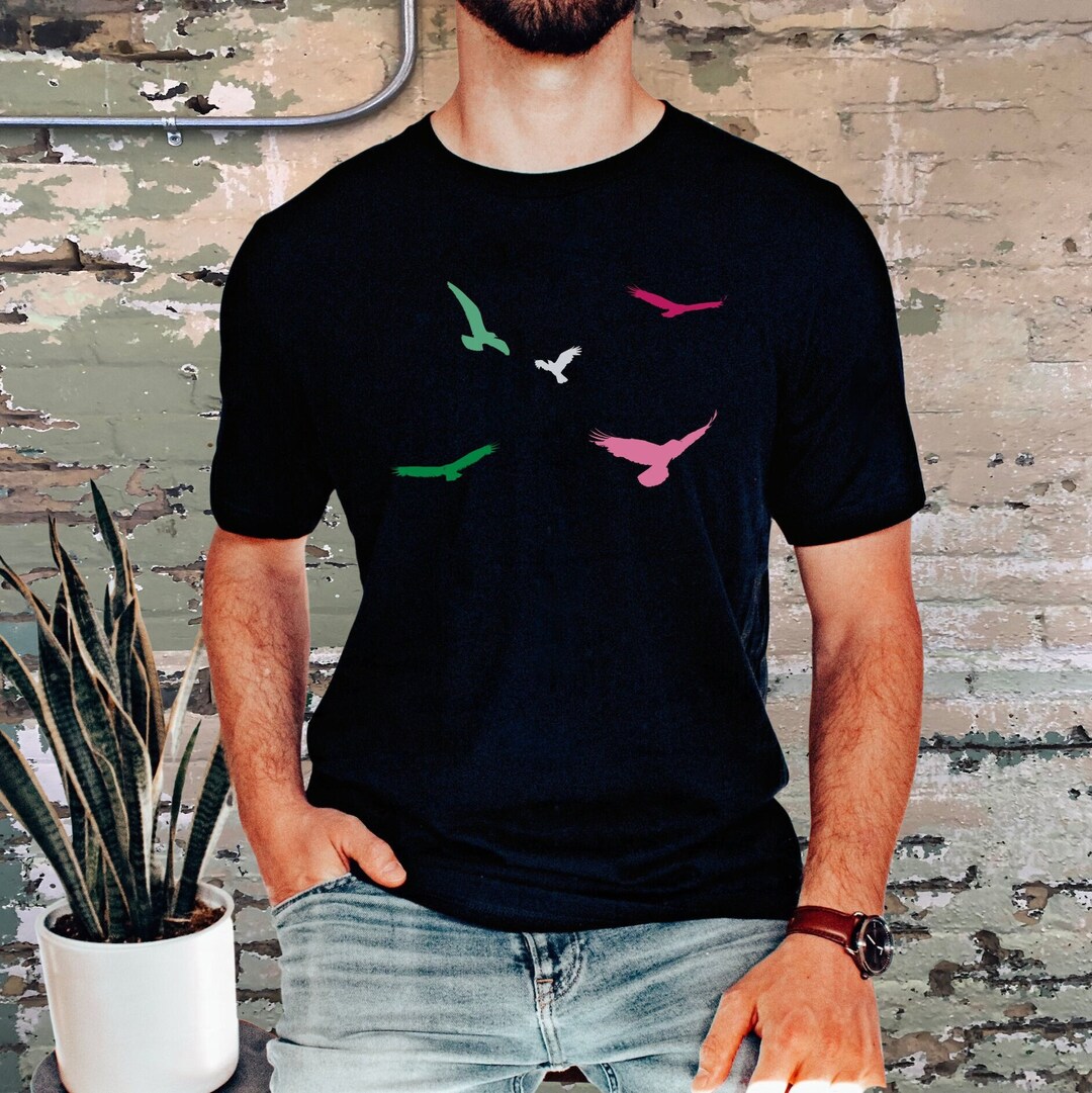 Abrosexual T-shirt, Abro Pride Shirt, Abrosexual Pride Colors, Subtle ...