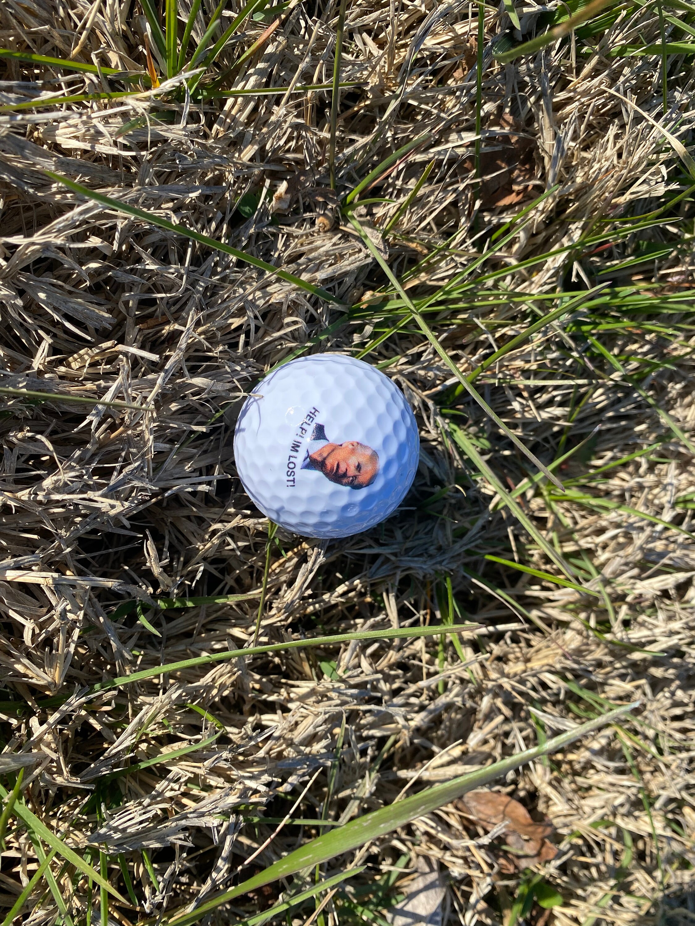 Funny Biden Golf Ball Set - Etsy