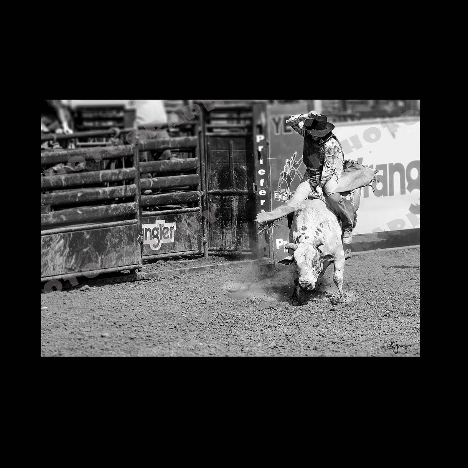 Rodeo, Black and White Photography, Bull Rider, Country Decor, Country ...